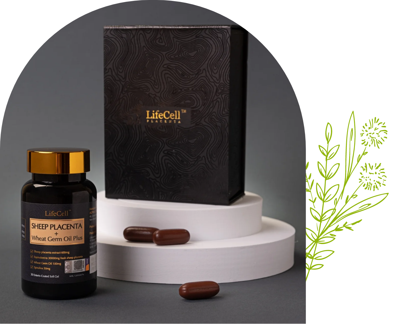 LifeCell – Nutrilife Asia